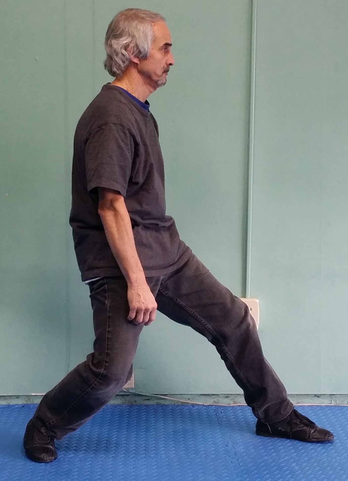 Stances – Dr. Wu's Institute of Martial Arts