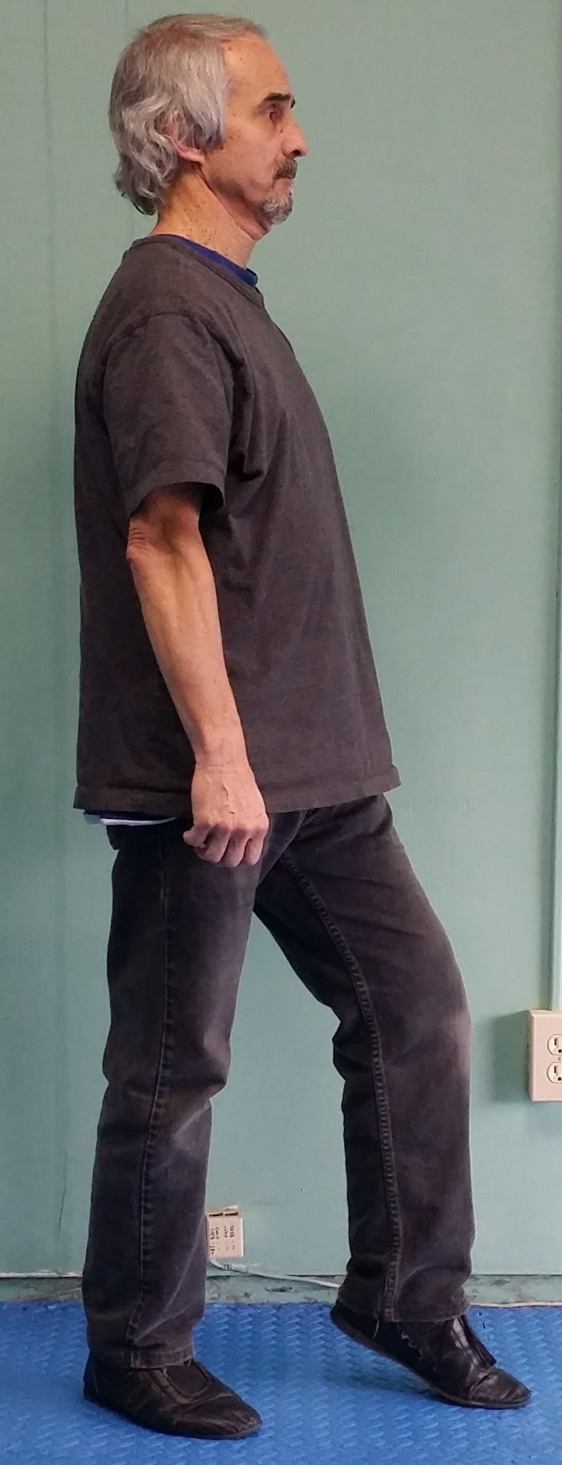 Stances – Dr. Wu's Institute of Martial Arts