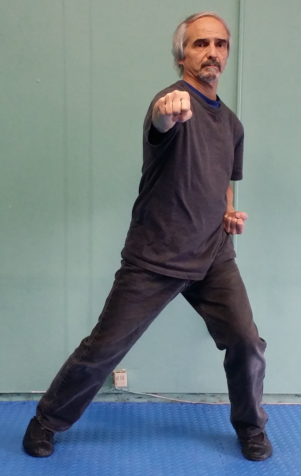 Fists – Dr. Wu's Institute of Martial Arts