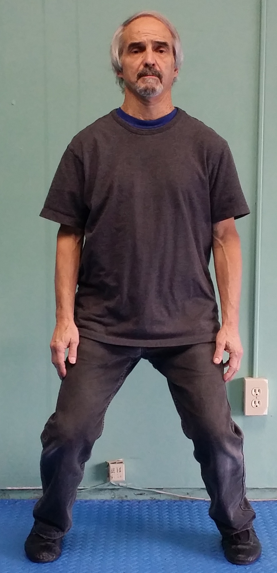 Stances – Dr. Wu's Institute of Martial Arts