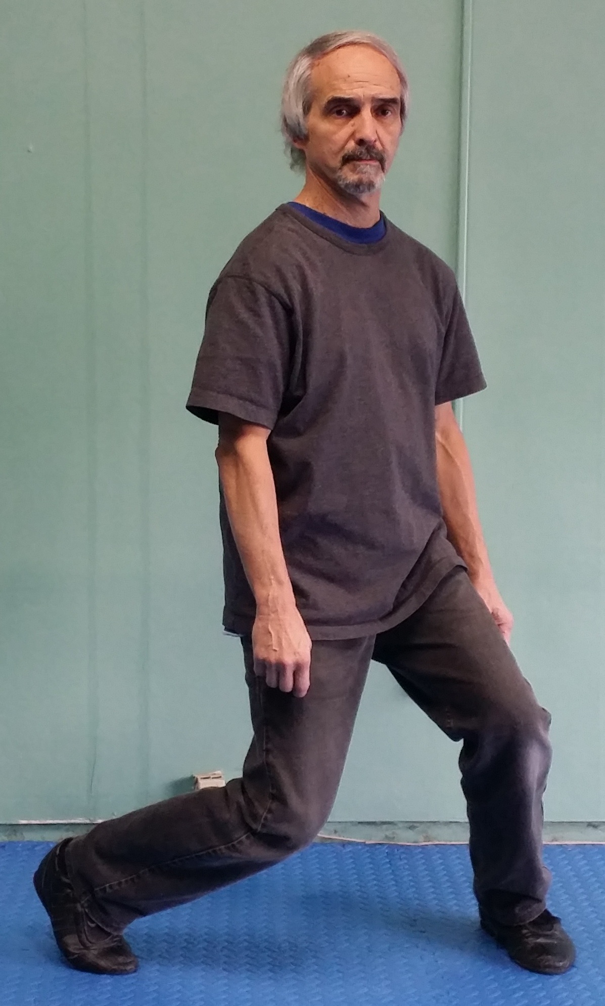 Stances – Dr. Wu's Institute of Martial Arts