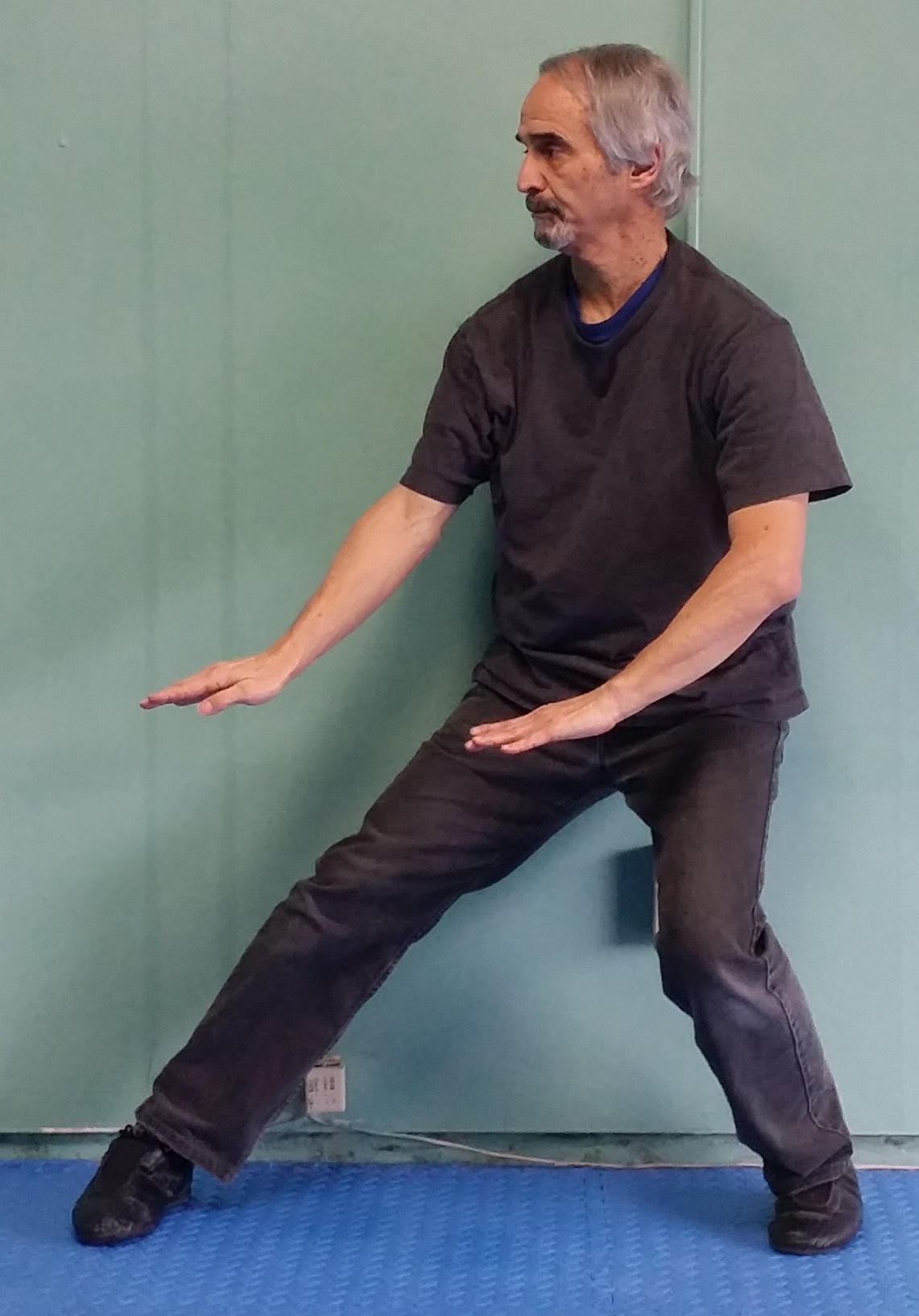 Fists – Dr. Wu's Institute of Martial Arts