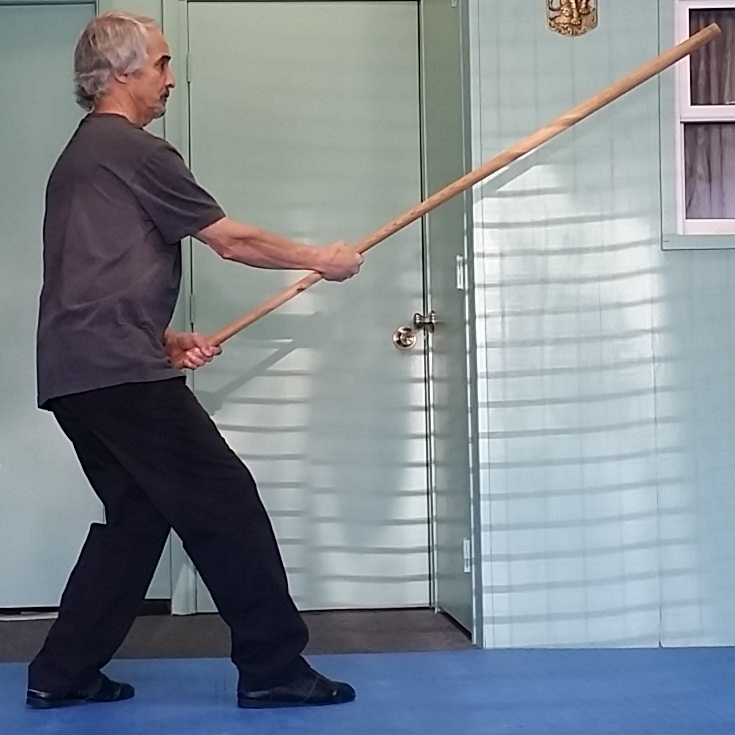 Shaolin Staff – Dr. Wu's Institute of Martial Arts