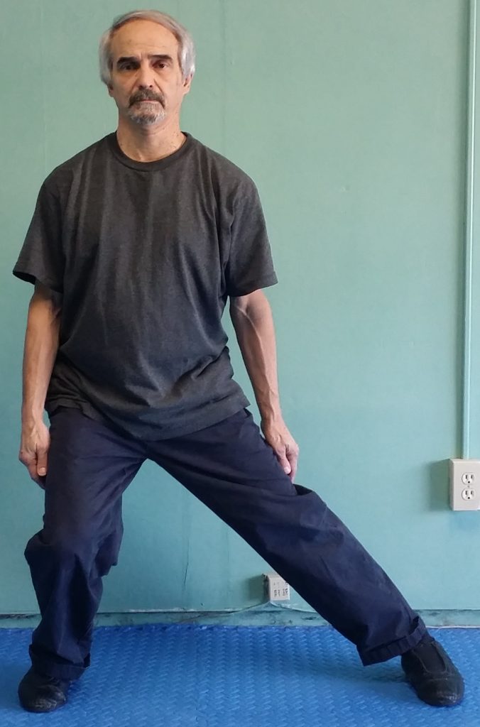 Stances – Dr. Wu's Institute of Martial Arts