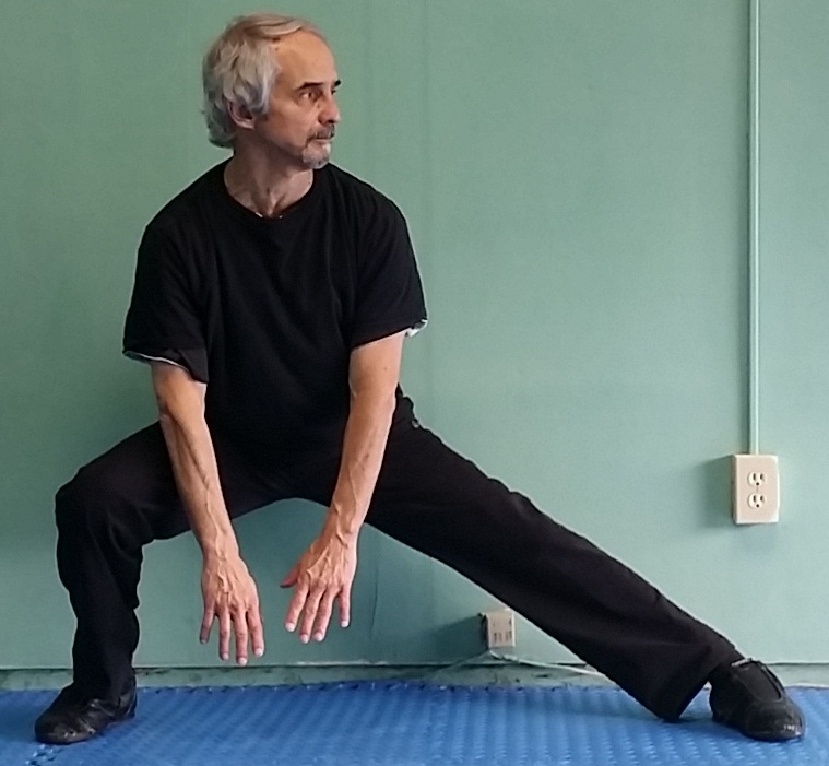 Stances – Dr. Wu's Institute of Martial Arts