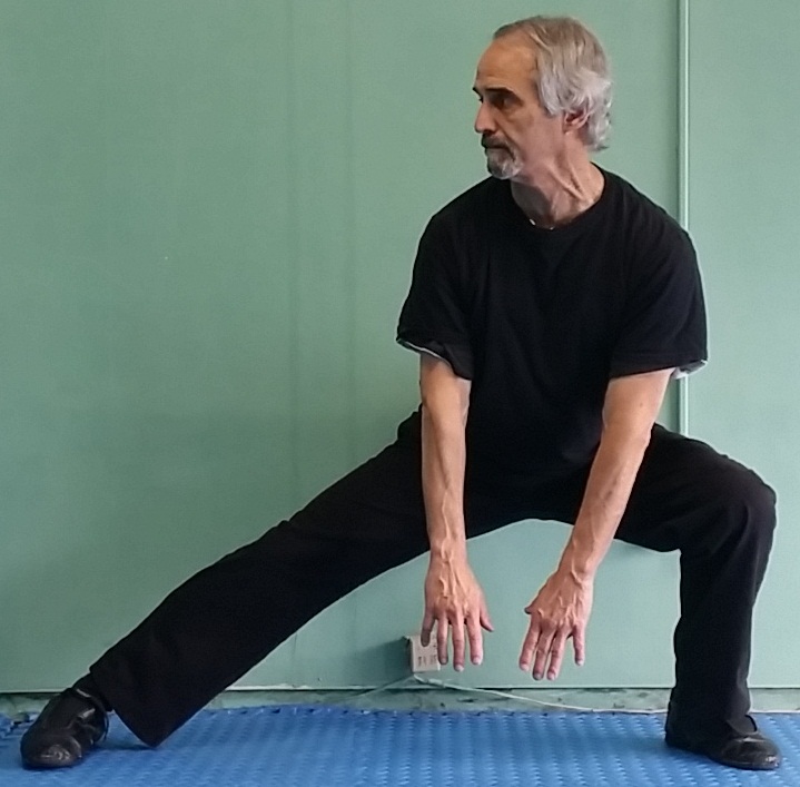 Stances – Dr. Wu's Institute of Martial Arts