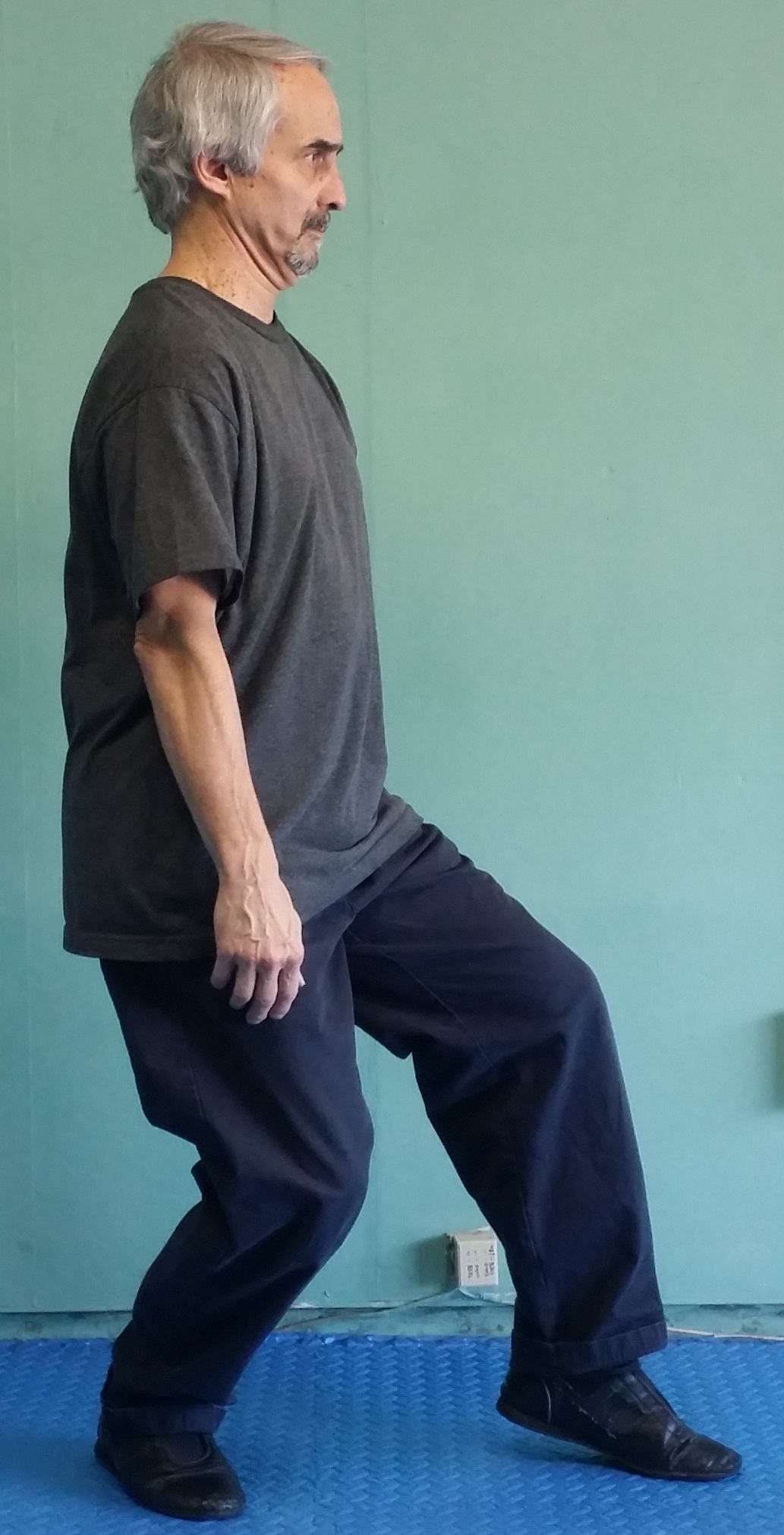 Stances – Dr. Wu's Institute of Martial Arts