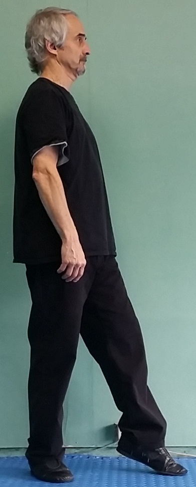 Stances – Dr. Wu's Institute of Martial Arts