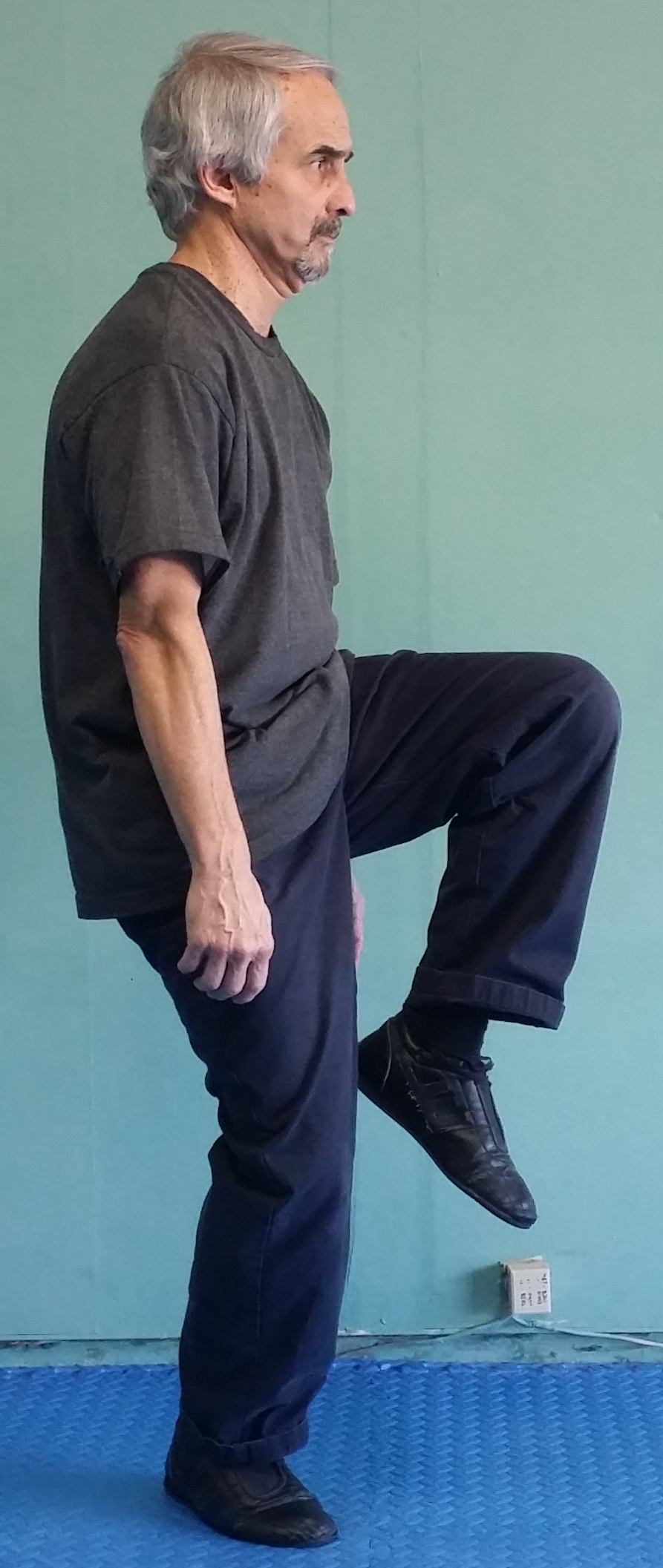 Stances – Dr. Wu's Institute of Martial Arts