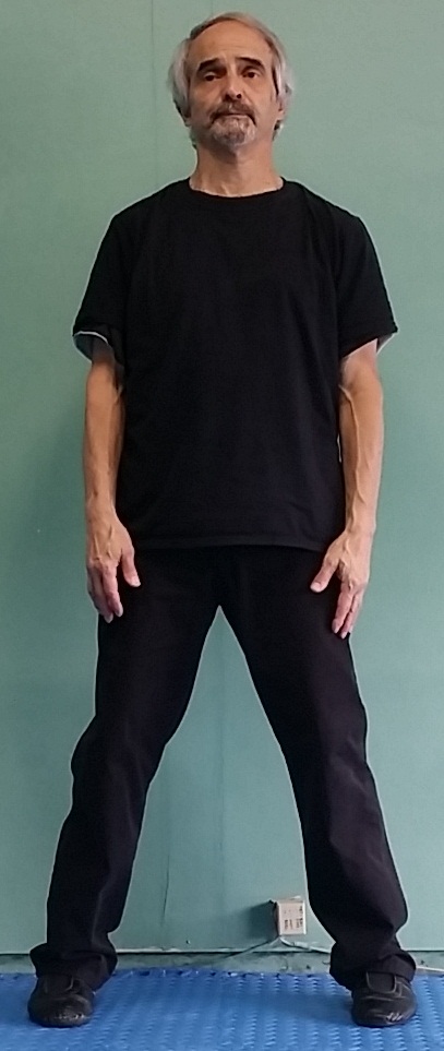 Stances – Dr. Wu's Institute of Martial Arts